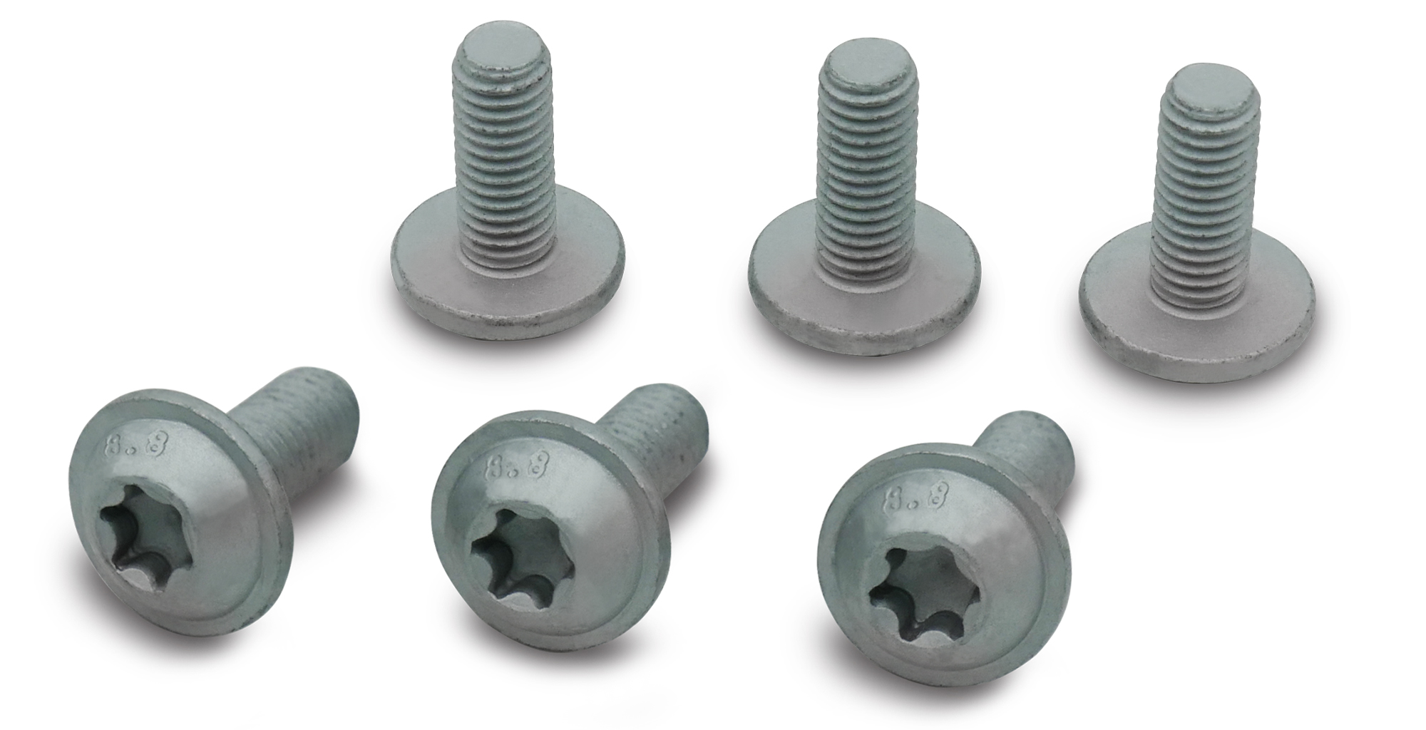 Shin-Jaan-Standard Customized Product of MS