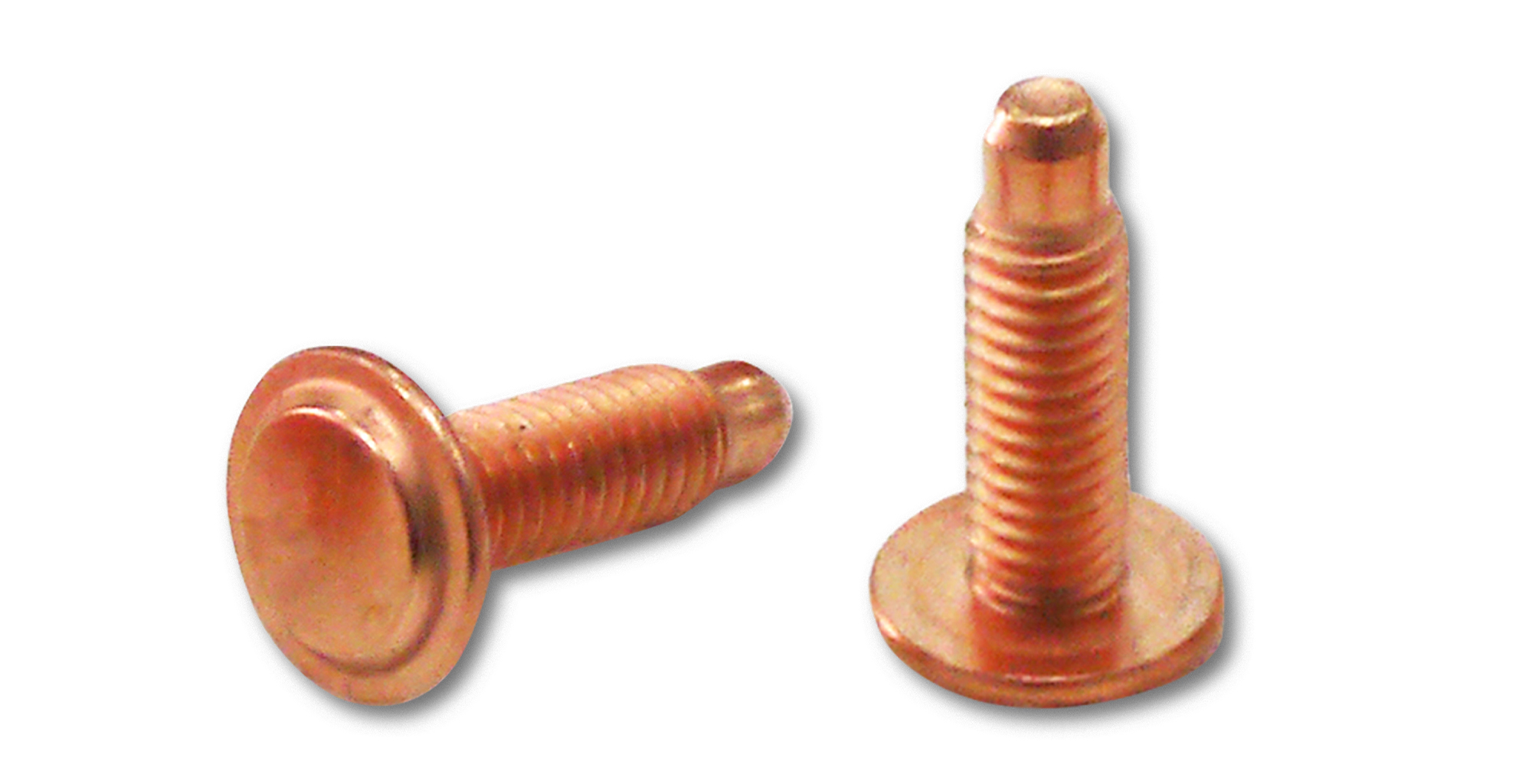 Shin-Jaan-Standard Customized Product of MS